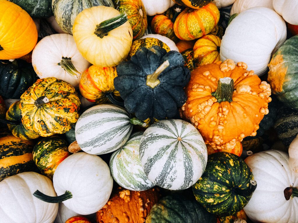 Picking the Perfect Pumpkin Patch - Visit Montgomery