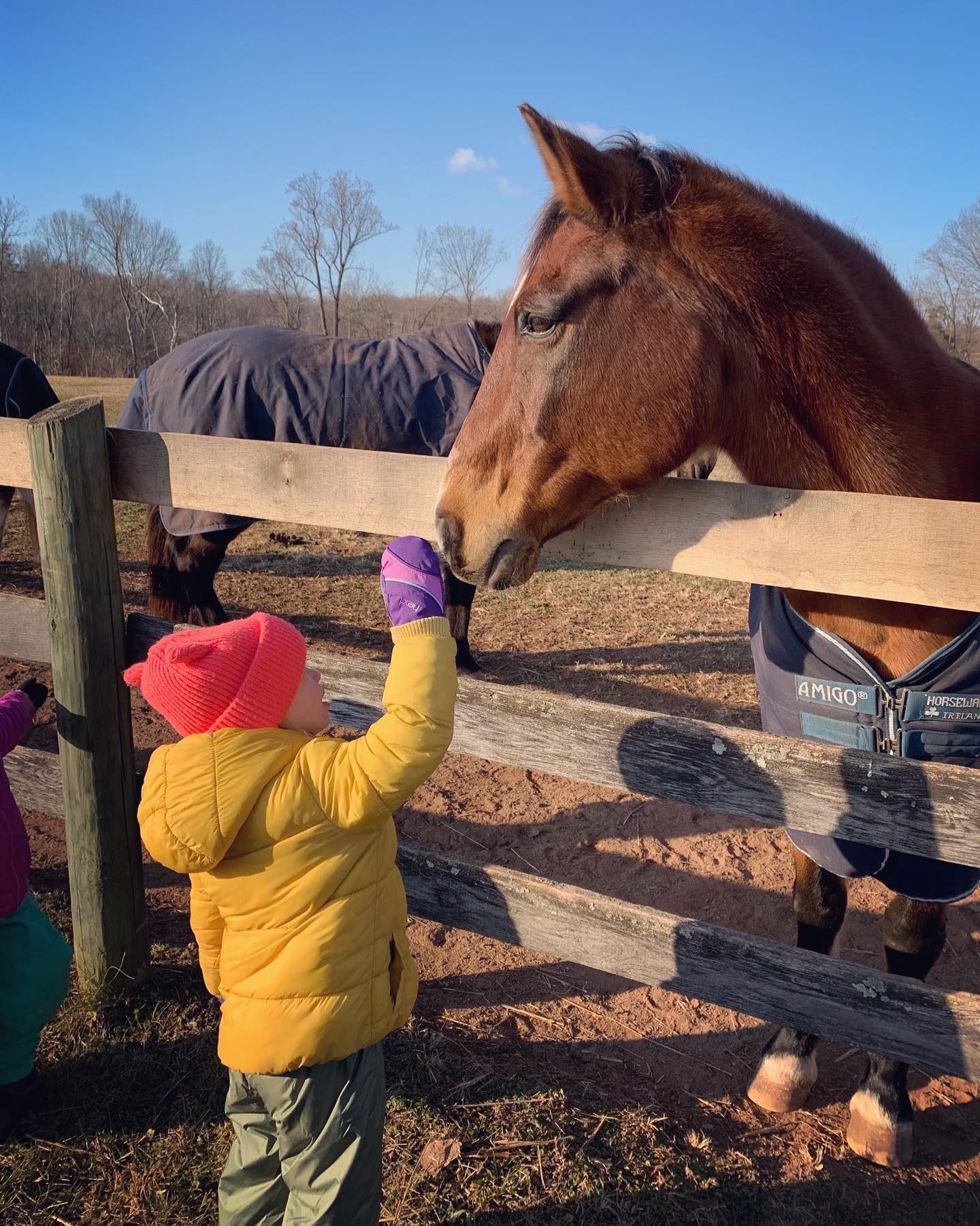 Calleva Farm & River Tours - Visit Montgomery