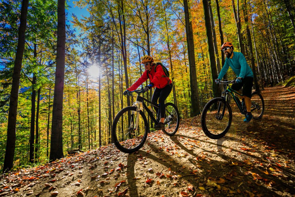 4 Beautiful Fall Foliage Routes for Cyclists - Visit Montgomery