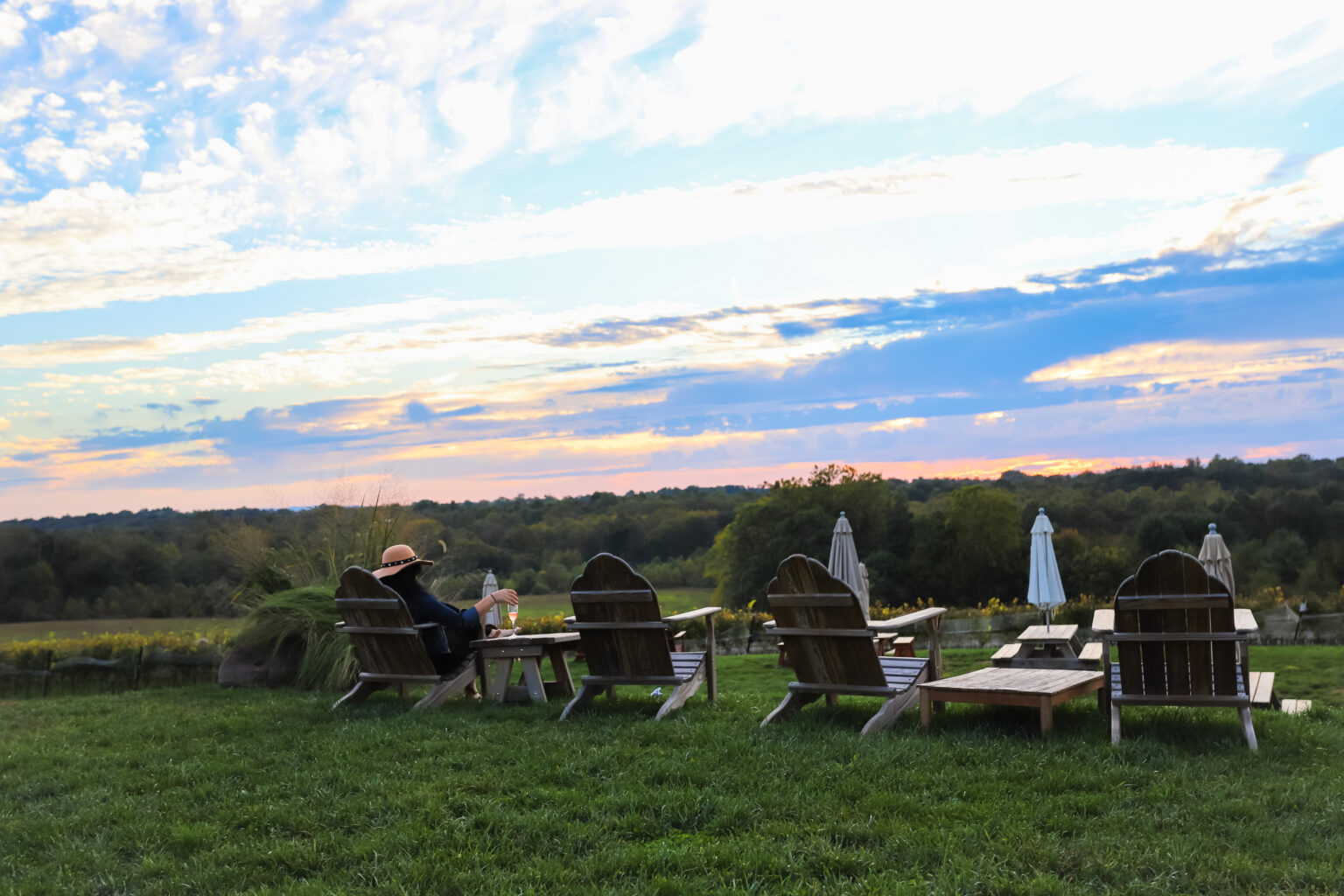 10 Unique Montgomery County Experiences for Seniors and Retirees ...