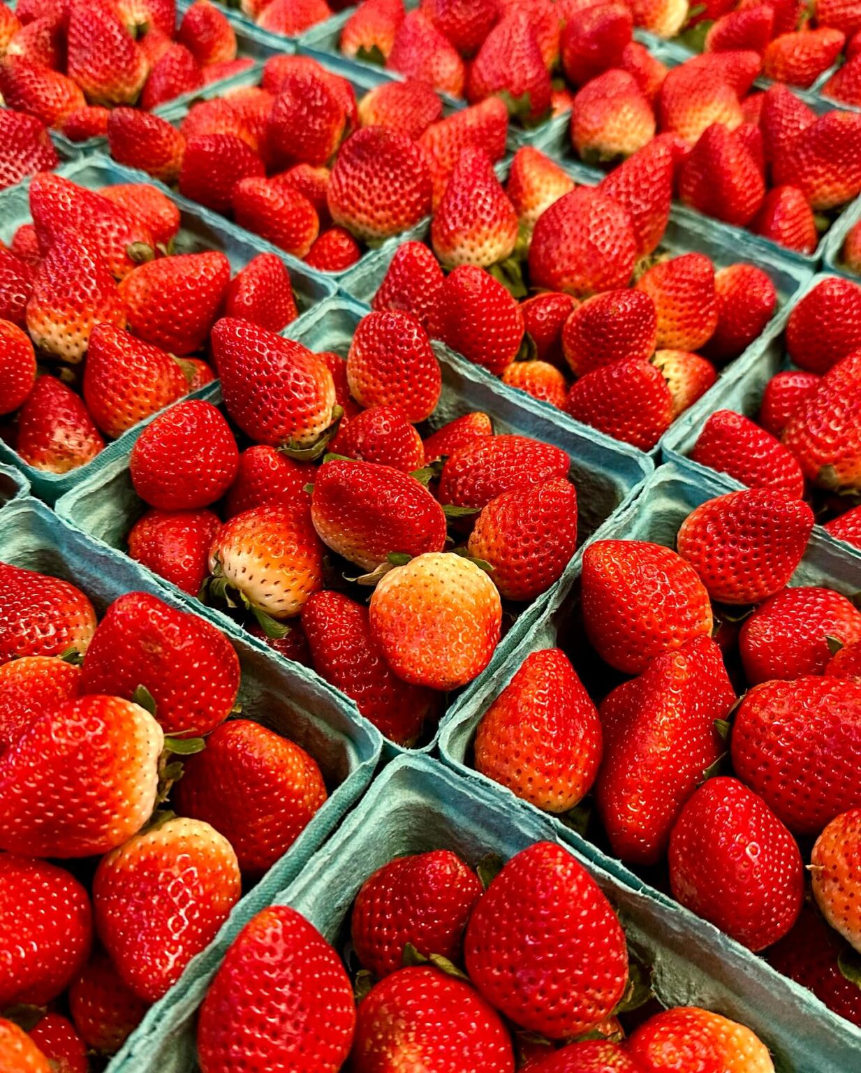 Lancaster County Dutch Market - Visit Montgomery