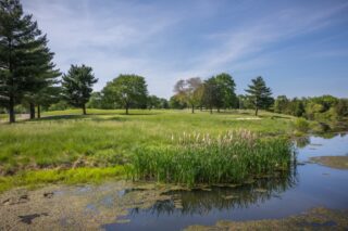 Golf - Visit Montgomery