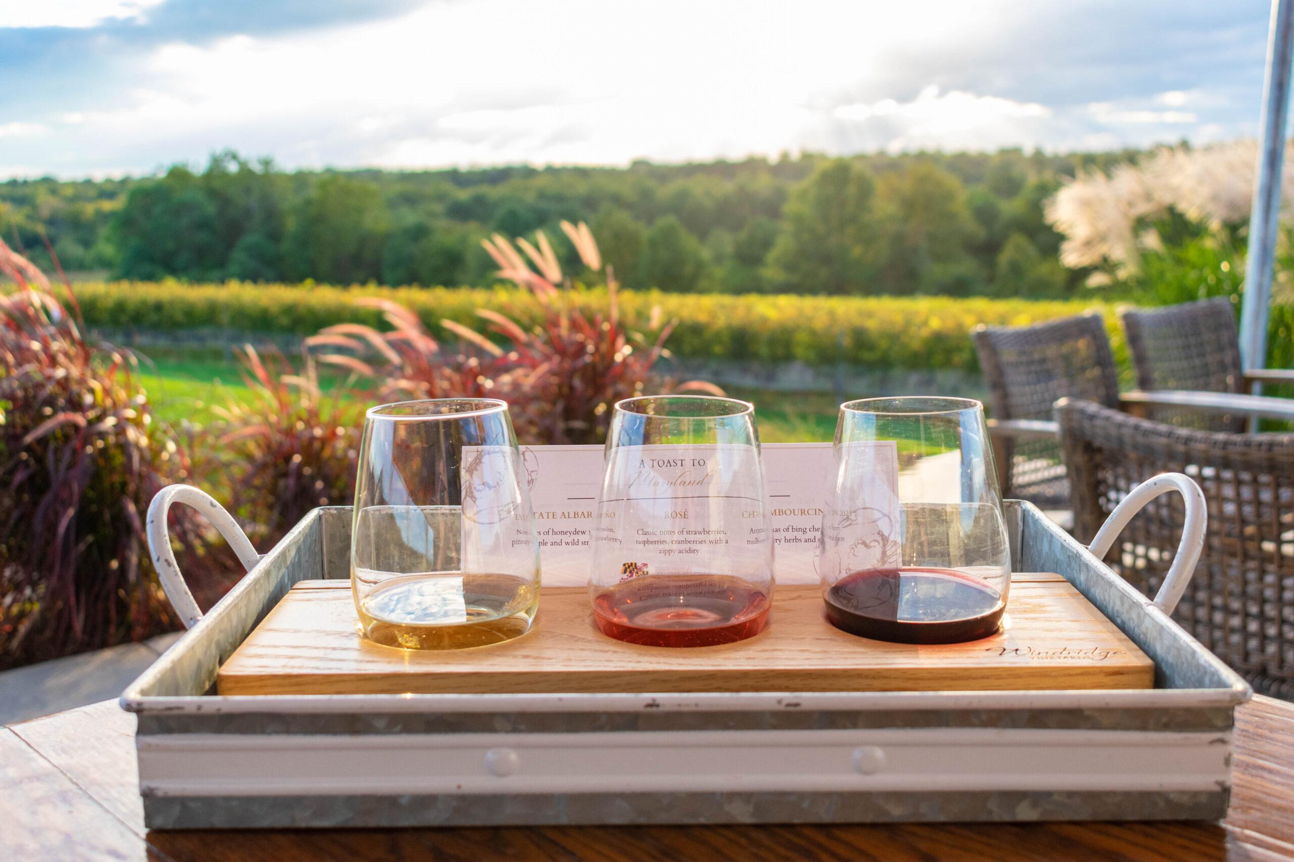 Farm Tour: Windridge Vineyards - Visit Montgomery